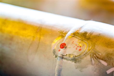 Pitting Corrosion Assessment Using Api 579 And Astm