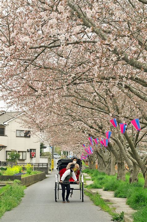 車屋さん再 GANREF