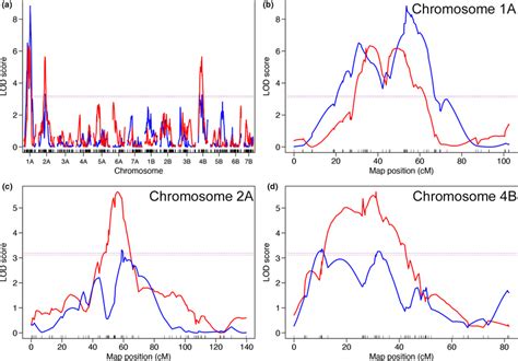 Qtl Analysis Of Hybrid Genome Doubling Using The Trihaploid Segregant Download Scientific