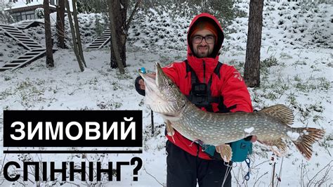 Зимові трофеї восени Берегова спіннінгова риболовля на щуку судака та окуня Youtube