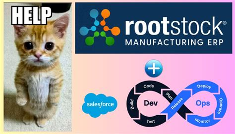Nicolas Vuillamy 🦙 On Linkedin Devops Help Rootstock Fullsandboxes Manual