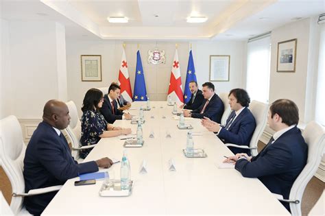 ირაკლი კობახიძე გაერო ში სხვადასხვა ქვეყნის მუდმივ წარმომადგენლებს