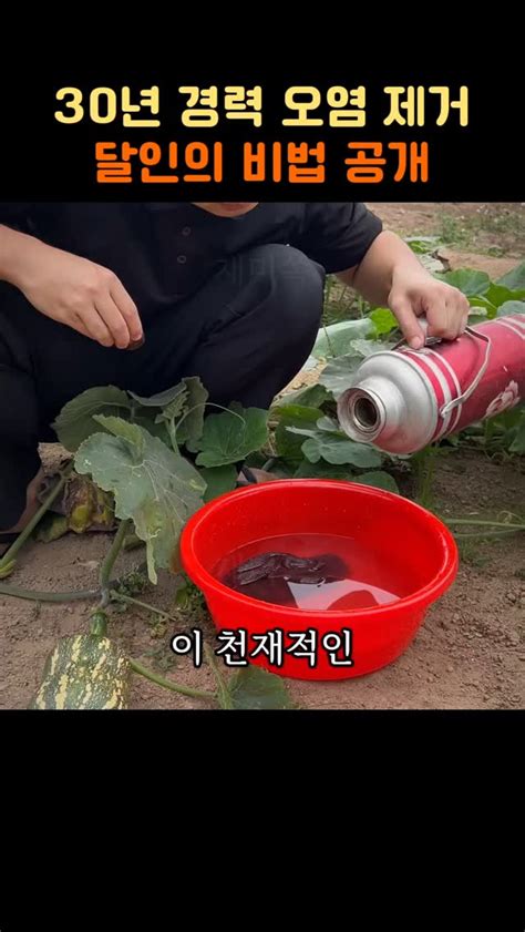 몰라서 못했던 놀라운 옷정리 꿀팁 정보 꿀팁 생활꿀팁 지식 재미쏙