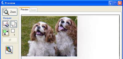Selecting Epson Scan Settings Selecting Epson Scan Settings