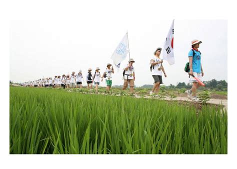 천주교 수원교구 청소년국 원교구 50주년 교서 요약 연재38 쇄신을 위한 예수 그리스도의 새로운 가르침” 예수님은