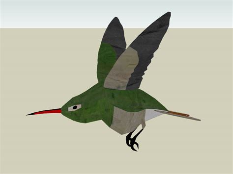 Green Hummingbird Sketchup 3d Model Skp File Download Sketchupbox