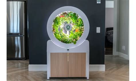 Rotating Hydroponic Garden Diy Mayjustingati