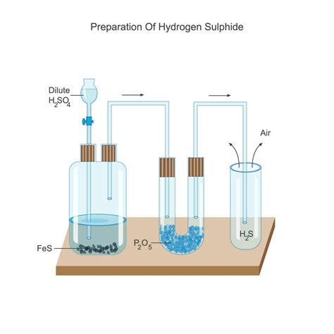 Preparation Of Hydrogen Sulphide In Laboratory Sulphuretted Hydrogen Ferrous Sulphide And