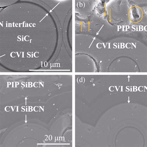 Cross Section Morphologies Of Sic F Sic Sibcn Composites A Sic F