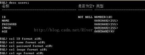 【技巧】oracle显示格式设置oracle Col Format Csdn博客