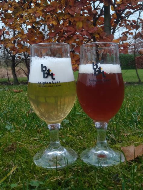 Bartek Guzinski On Linkedin Technology Sustainable Creative Future Brewery