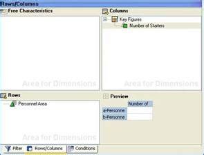 How To Build Dynamic Selections And Filters In SAP BW BEx Queries