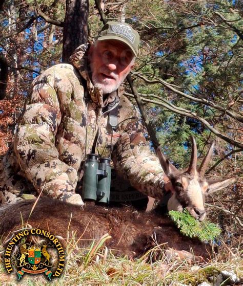 Tatra Chamois Hunting Hunting Consultants And Hunt Brokers Tatra Chamois