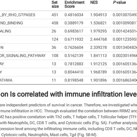 Results Of Gene Set Enrichment Analysis Gsea Download Scientific