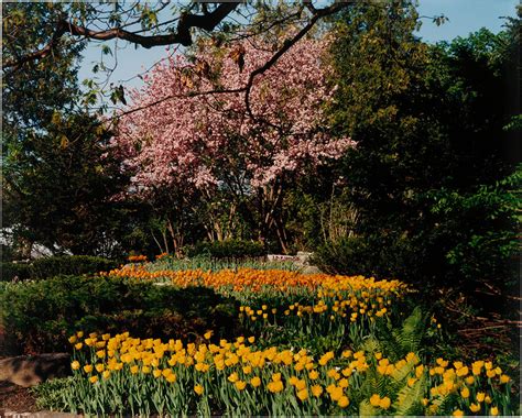 Malak Karsh Capital History