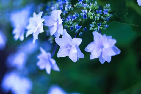 【6月支給分から増額】老齢年金生活者支援給付金とは？支給要件・給付額・申請方法を解説！《申請しないともらえない》 6月13日（金）は年金支給日