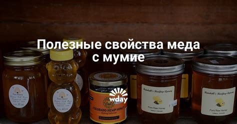 Мед с мумие, полезные свойства, как приготовить и применять | WDAY