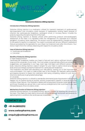 Dobutamine Dobutrex 250mg Injection At Rs 350 Vial डोबुटामिन In Surat Id 2853470419033