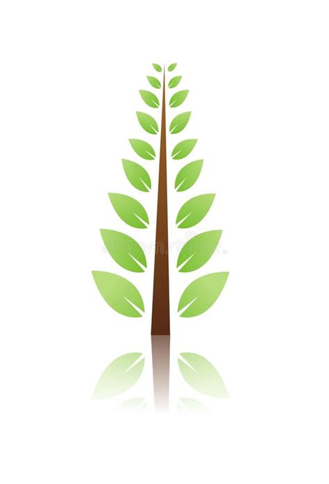 Tree With Reflection Stock Vector Illustration Of Design 9847448