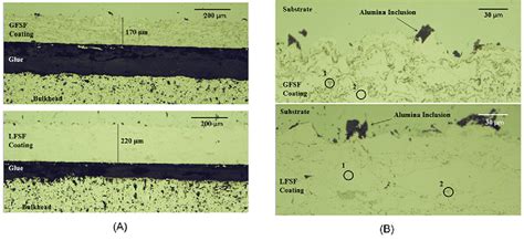 A Metallographic Cross Sections Of Coated Samples B Download Scientific Diagram