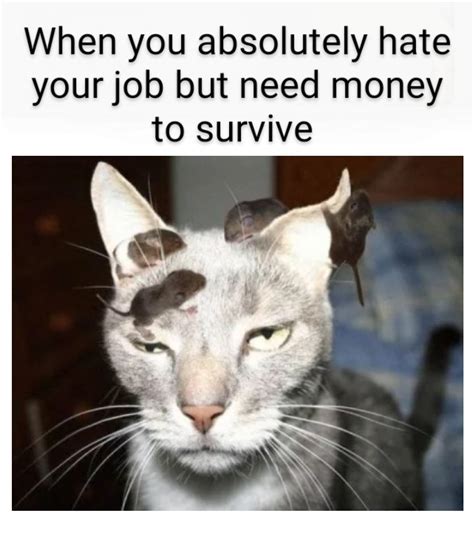 Fuck This Shit Meme By Estebanvasquez Memedroid