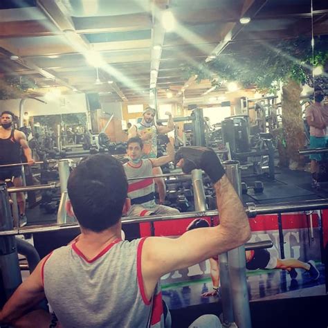 mohammad hossein aref developer