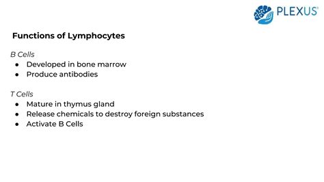 Multiple Sclerosis And The Immune System Plexus Ppt