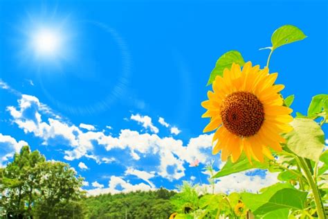 夏本番久留米市周辺のおすすめお出かけスポットひんやりくるめWEB