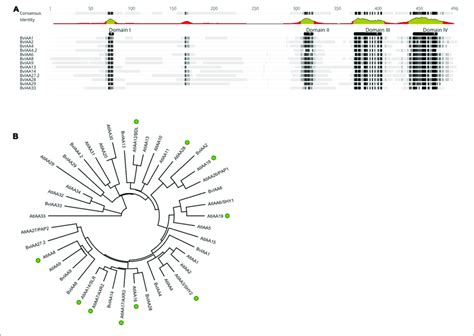A Multiple Sequence Alignment Geneious 20201 Software Of All Iaa