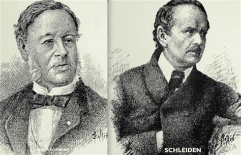 Matthias Schleiden Cell Theory Wpfqtm