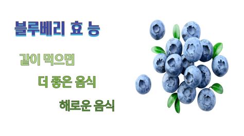 블루베리 효능 Youtube