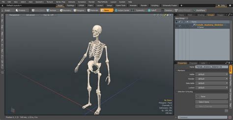 여성 해부학 해골 3d 모델 139 3ds Blend C4d Fbx Max Ma Lxo Obj Free3d
