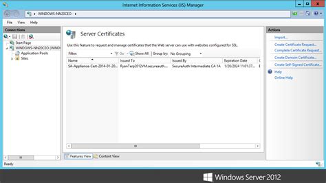 Ssl Certificate Replacement Guide Iis X