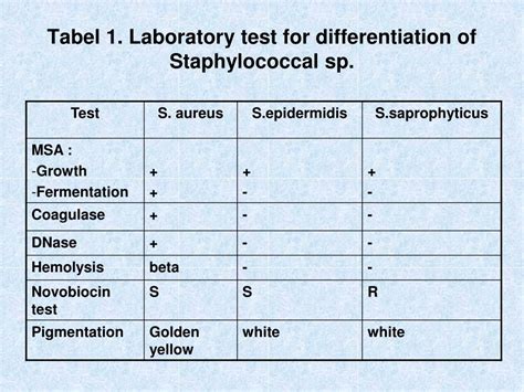 Ppt Microbiology Diagnostic Of Microorganisms Related To Cardiac