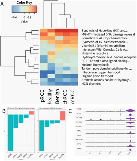Decoding Ecosystem Heterogeneity And Transcriptional Regulation