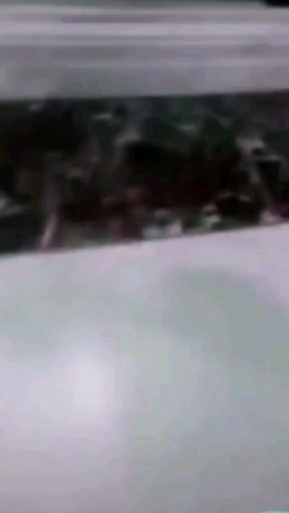 Mian Umer Daraz Posted On Linkedin