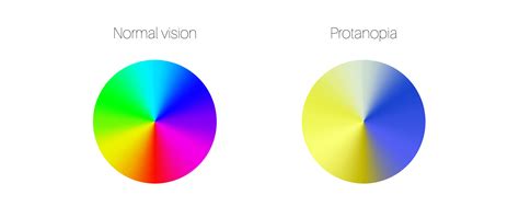 How Color Blindness Types Shape Our Vision A Complete Overview
