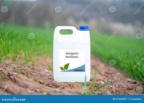 Inorganic Fertilizers Synthetic Fertilizers That Provide Essential Nutrients For Plant Growth
