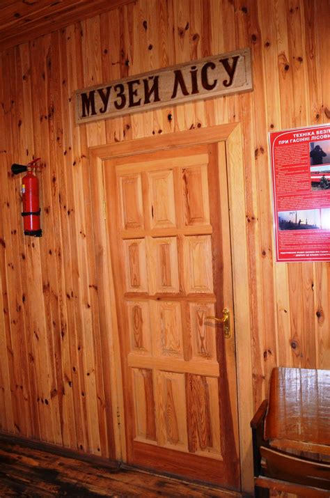 У Києві створюють музей лісу ФОТО Вечірній Київ