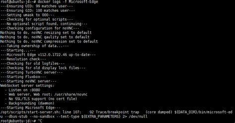 Start Serversh Line 107 Issue · Issue 1 · Ich777docker Microsoft Edge · Github