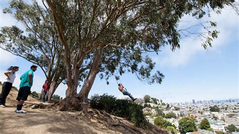 Glen Parks Billy Goat Park A Place For Swingers Glen Park San