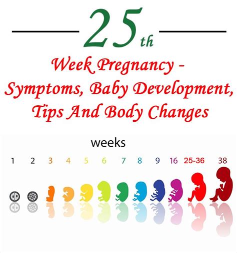 Pregnancy Symptoms Be Week Pregnancy Sympthom