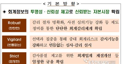 금감원 디지털 회계 감리 분석 시스템 마련키로2024 회계심사·감리 계획