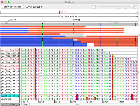 New Features In CodonCode Aligner DNA Sequence Assembly And Alignment Software For Windows