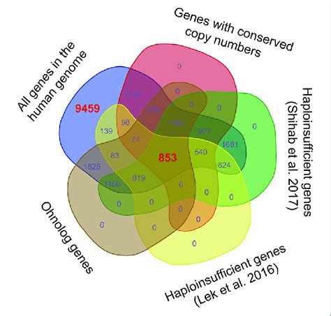 Venn Diagram Displaying The Variations Among Dosage Sensitive Gene
