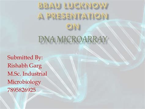 Dna Microarray Pptx