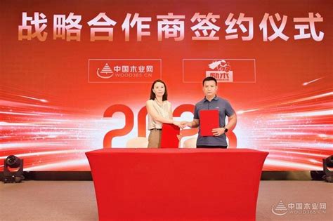 专访河北建丰木业销售总监史贺龙励志奋进以木逐梦 木业网