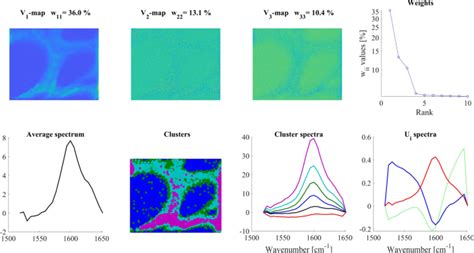 Svd Clustering A General Image Analyzing Method Explained And Demonstrated On Model And Raman