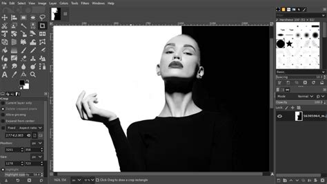 Heres Ways To Make An Image Black And White With GIMP Logos By Nick