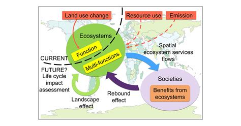 Ecosystem Cycle